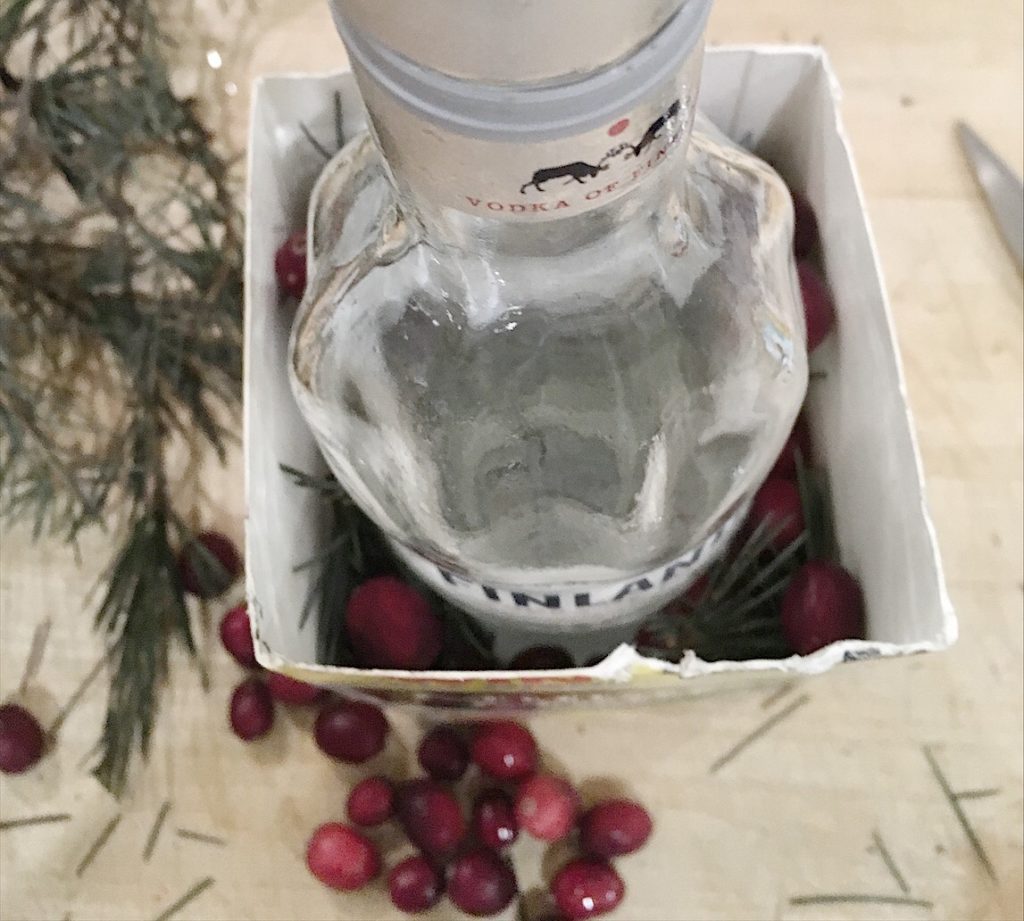 The Best Frozen Vodka Cranberry - MY 100 YEAR OLD HOME