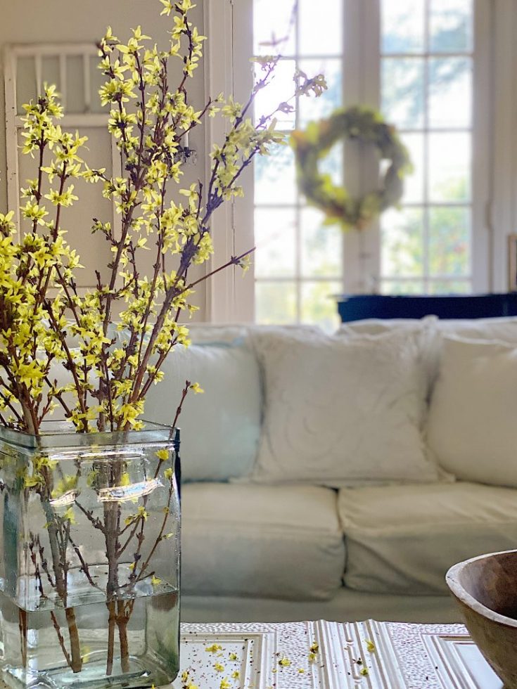 Everything You Need to Know About Flowering Branches - MY 100 YEAR OLD HOME