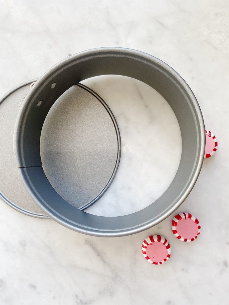 How to Make a Peppermint Candy Plate - MY 100 YEAR OLD HOME