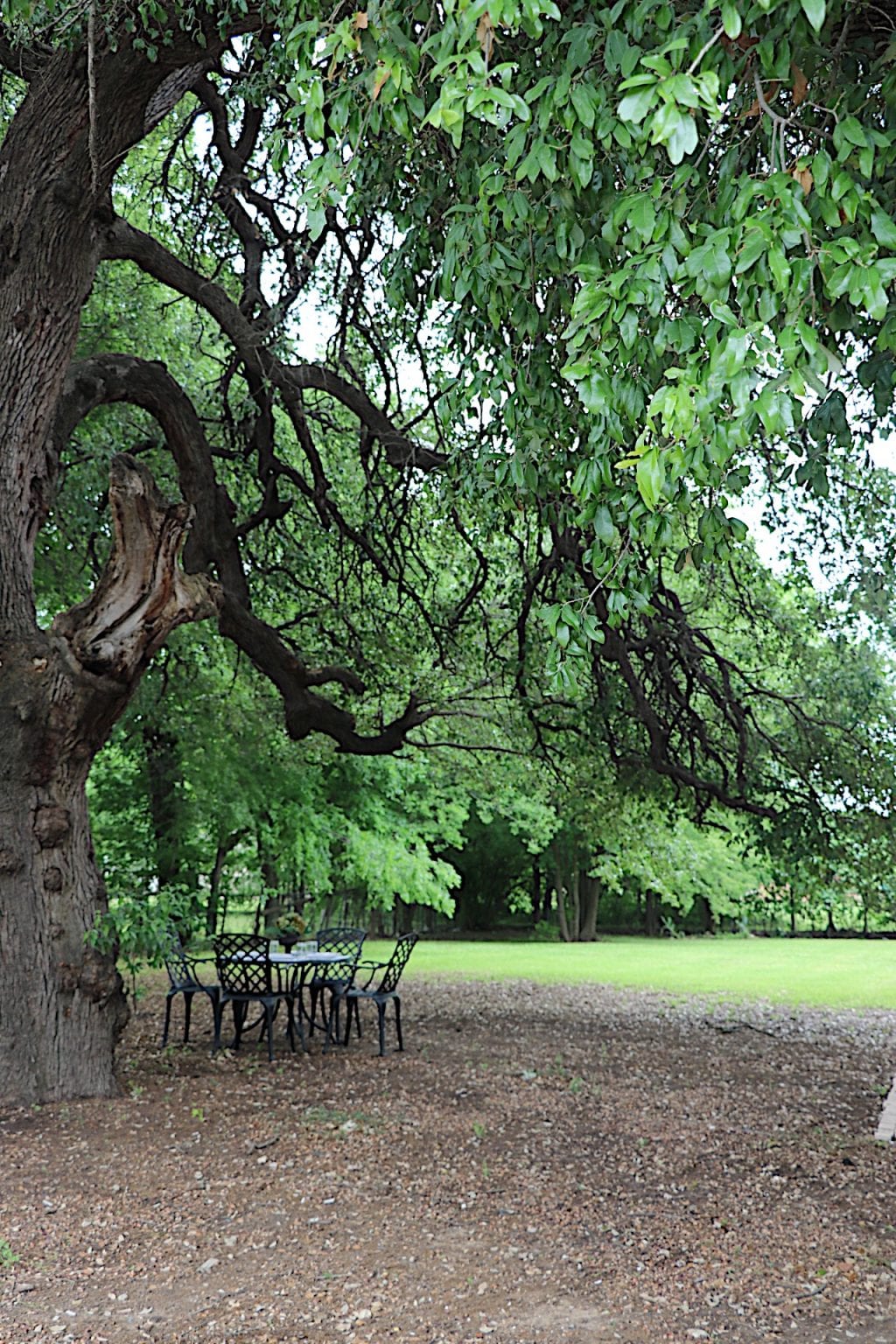We Finished the Wrap Around Porch at Our Waco Airbnb! - MY 100 YEAR OLD ...