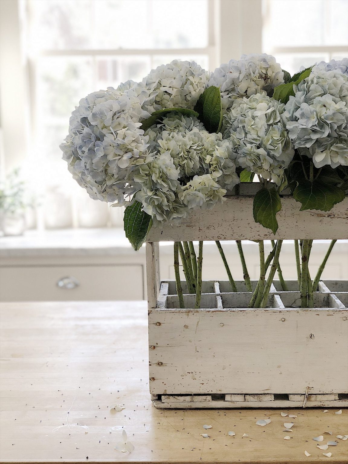 How to Arrange Hydrangea Flowers