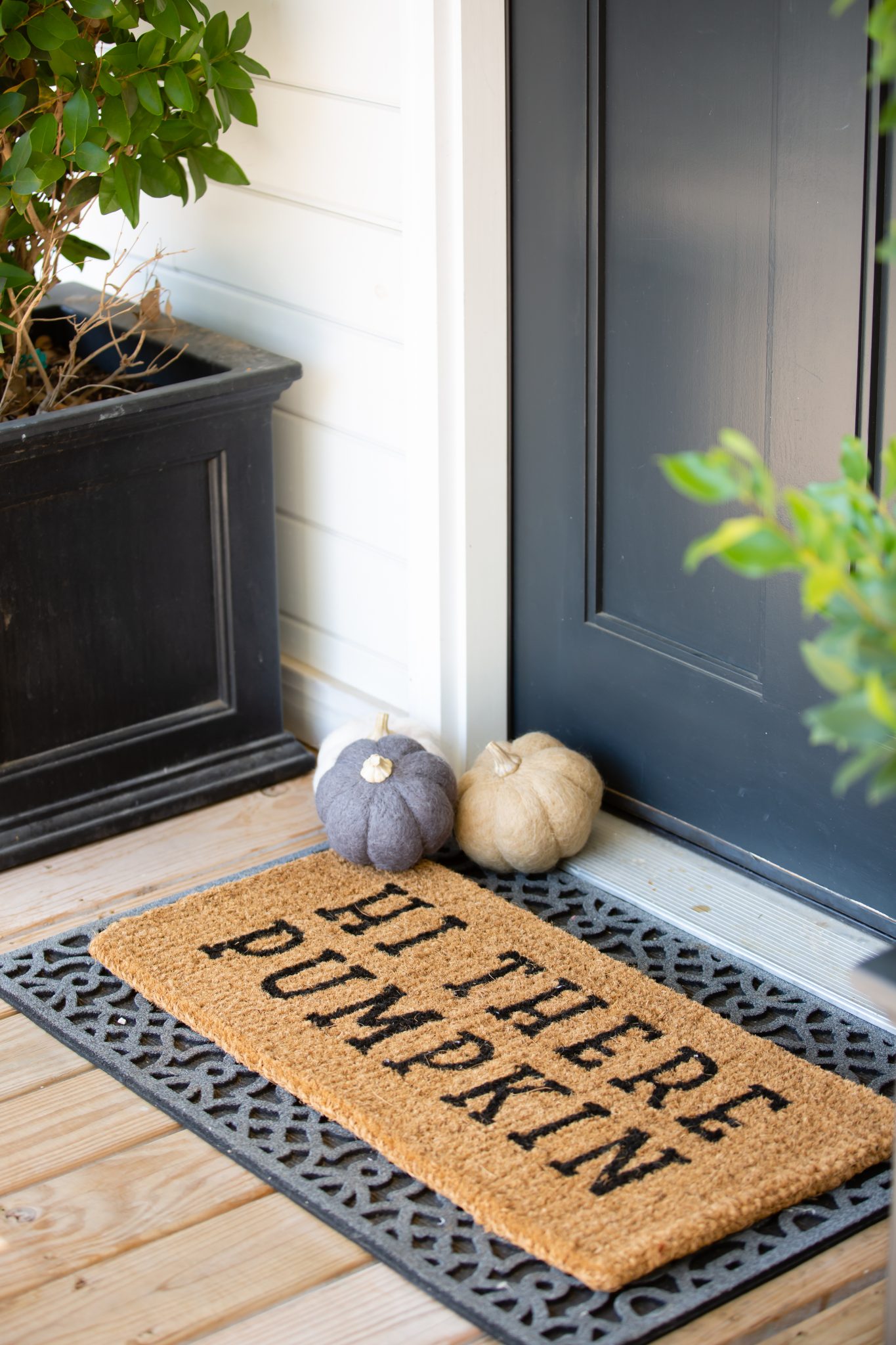 Our Photoshoot with Clint Harp Designs - MY 100 YEAR OLD HOME