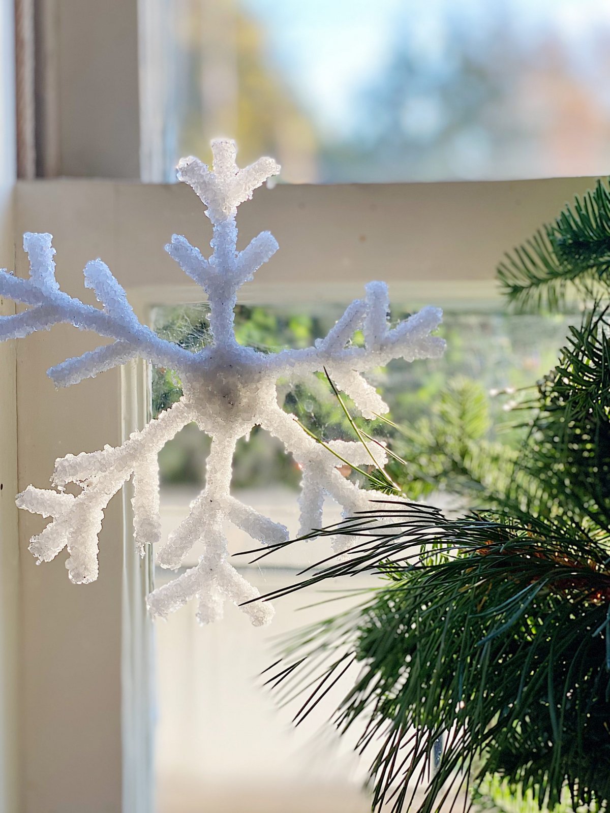 How to Make Crystal Snowflake Ornaments - MY 100 YEAR OLD HOME