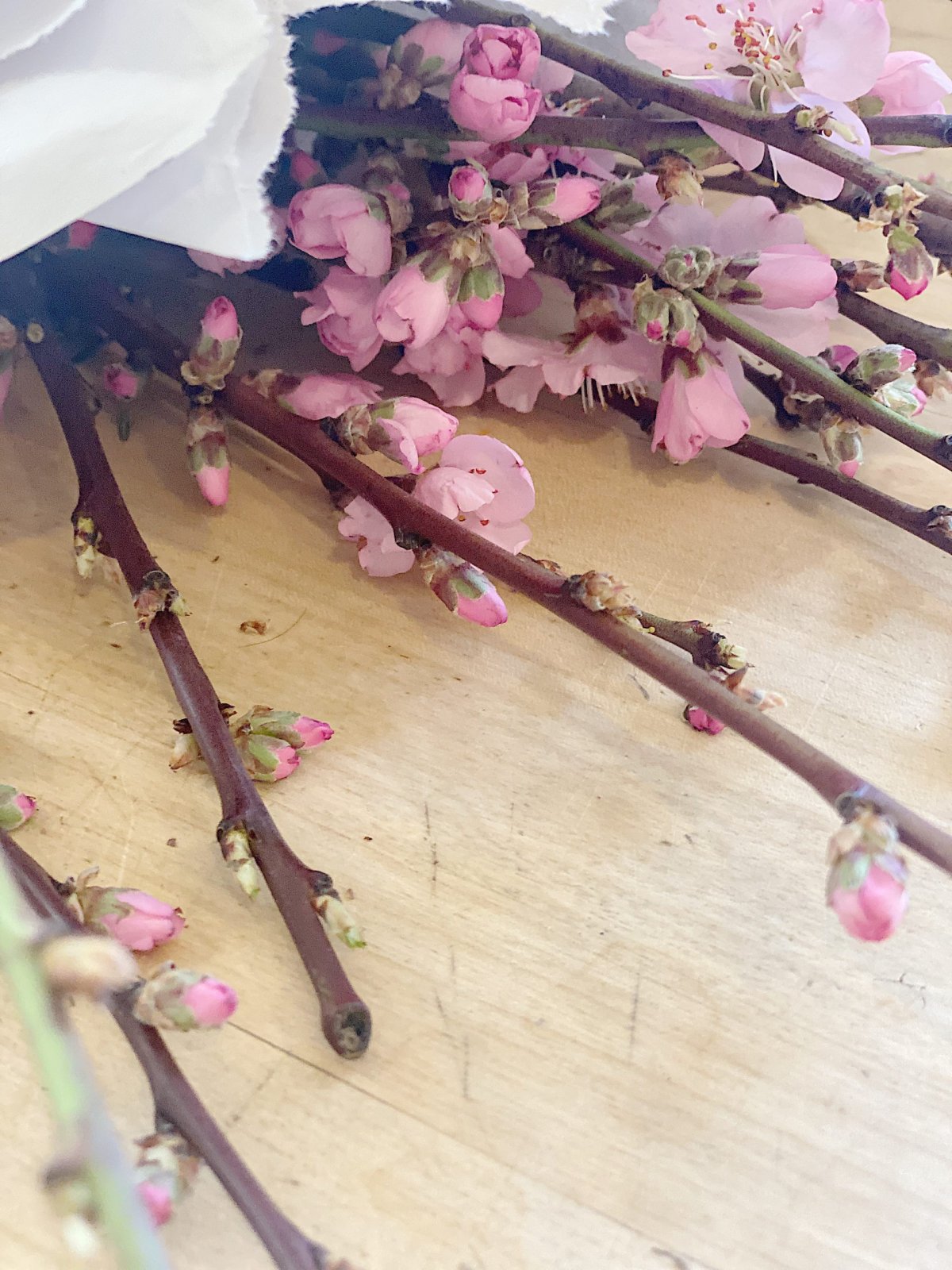 A Happy Easter, Crafting, and Sunday Morning Coffee - MY 100 YEAR OLD HOME