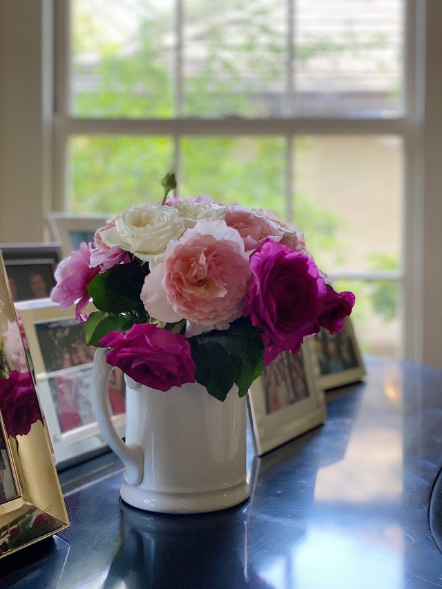 The Best Roses for Mother's Day - MY 100 YEAR OLD HOME