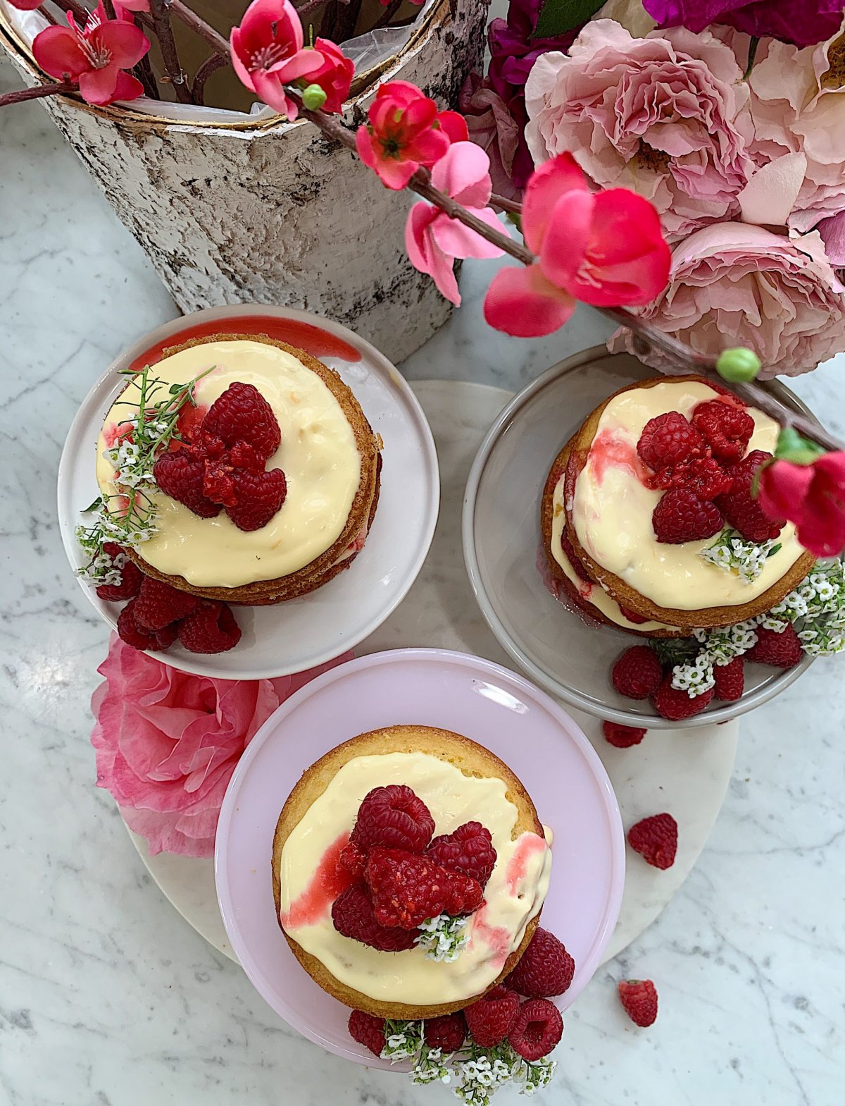 Raspberry Olive Oil Cake Recipe - MY 100 YEAR OLD HOME