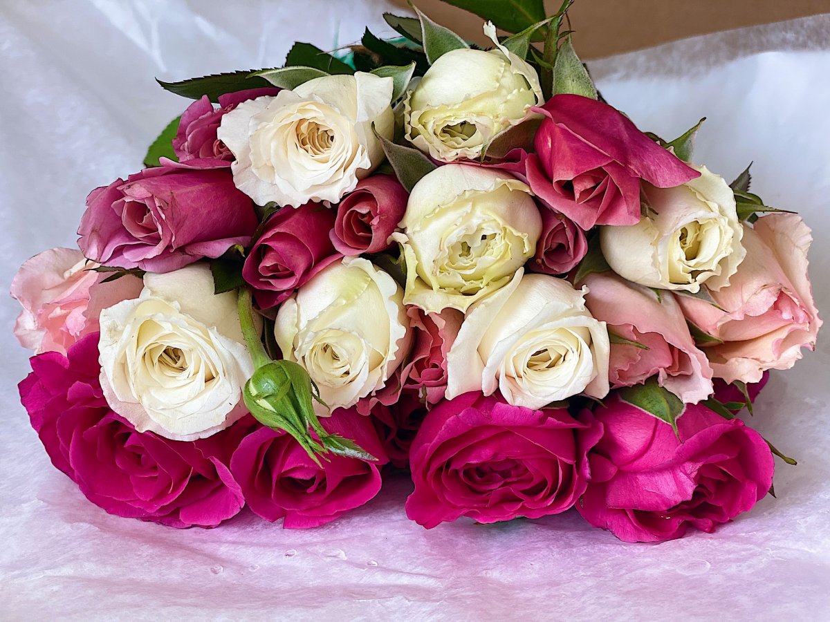 The Best Roses for Mother's Day - MY 100 YEAR OLD HOME