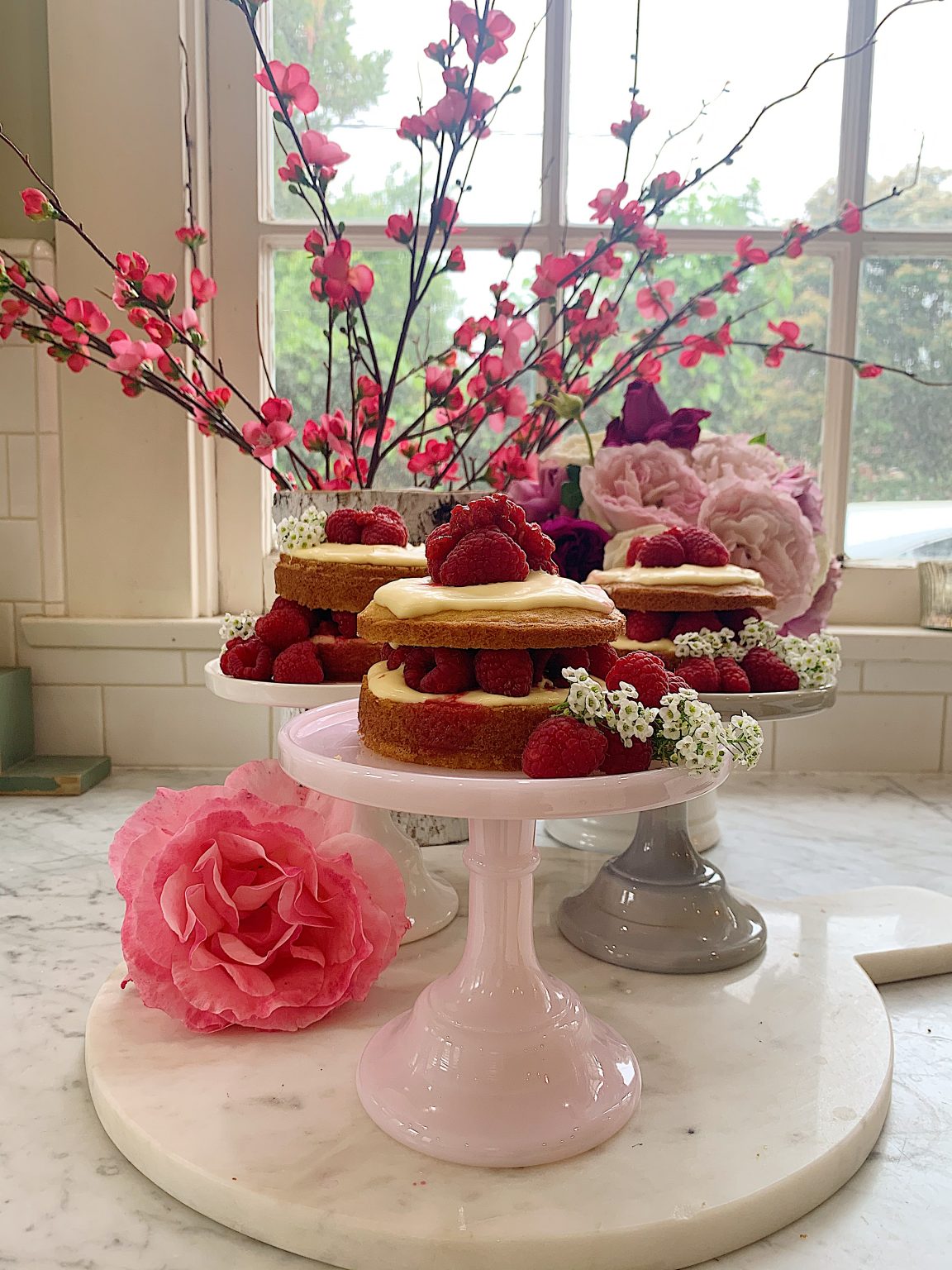 Raspberry Olive Oil Cake Recipe - MY 100 YEAR OLD HOME