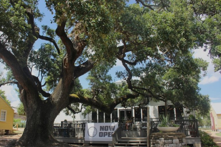 How to Plan a Trip to the Round Top Vintage Market - MY 100 YEAR OLD HOME