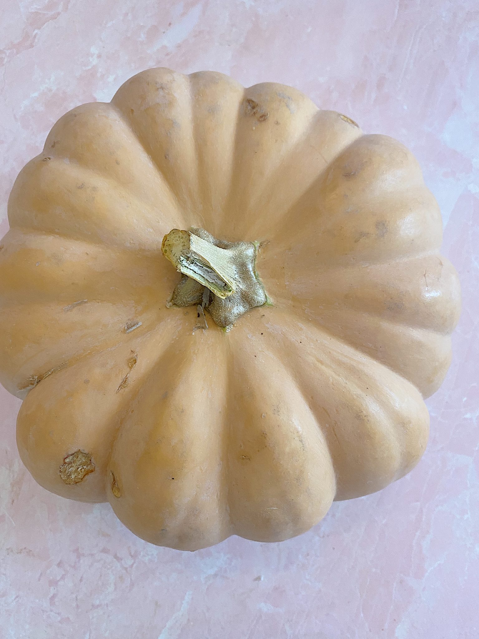 Pink Painted Cinderella Pumpkins - MY 100 YEAR OLD HOME