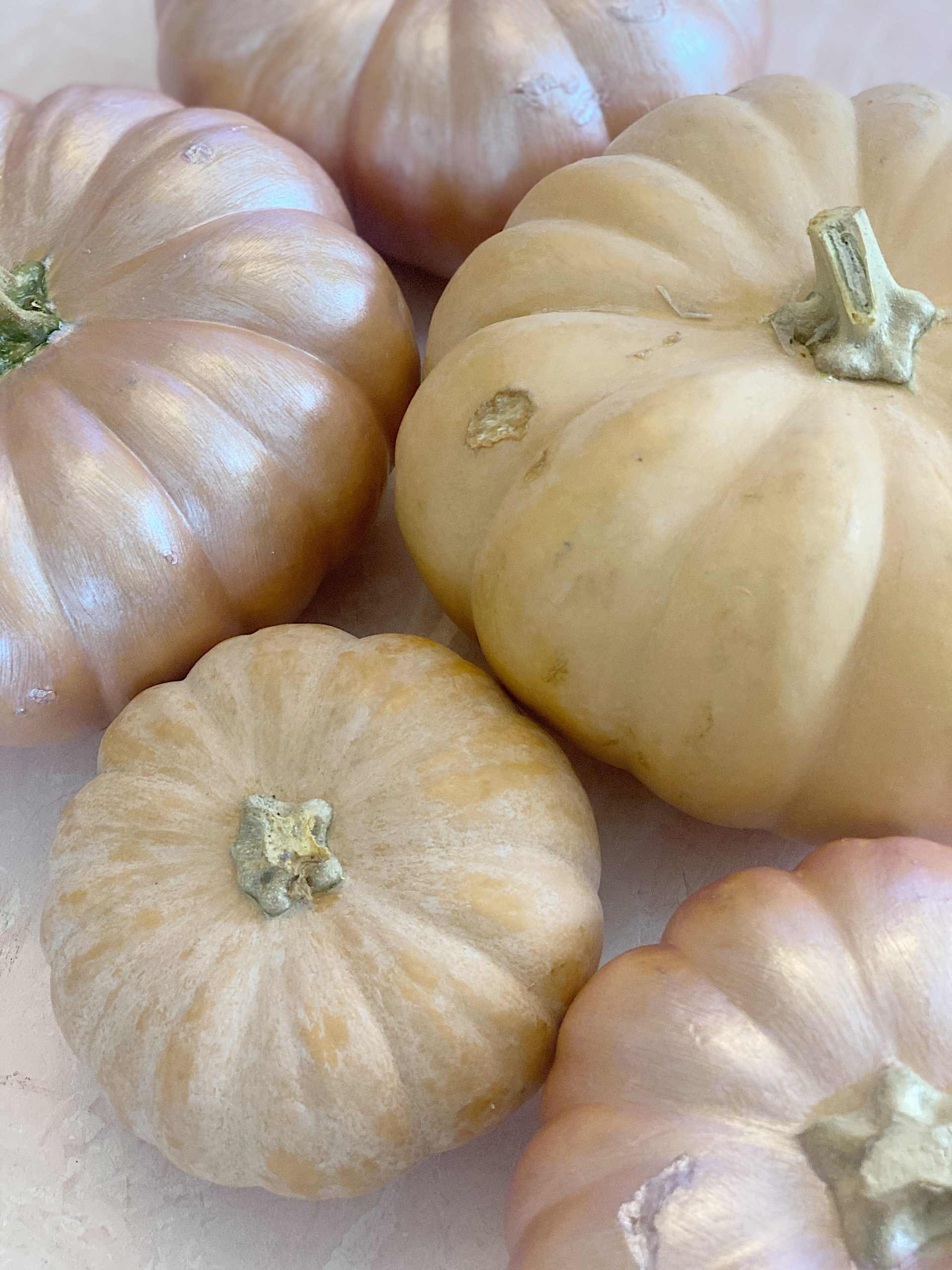 Pink Painted Cinderella Pumpkins - MY 100 YEAR OLD HOME