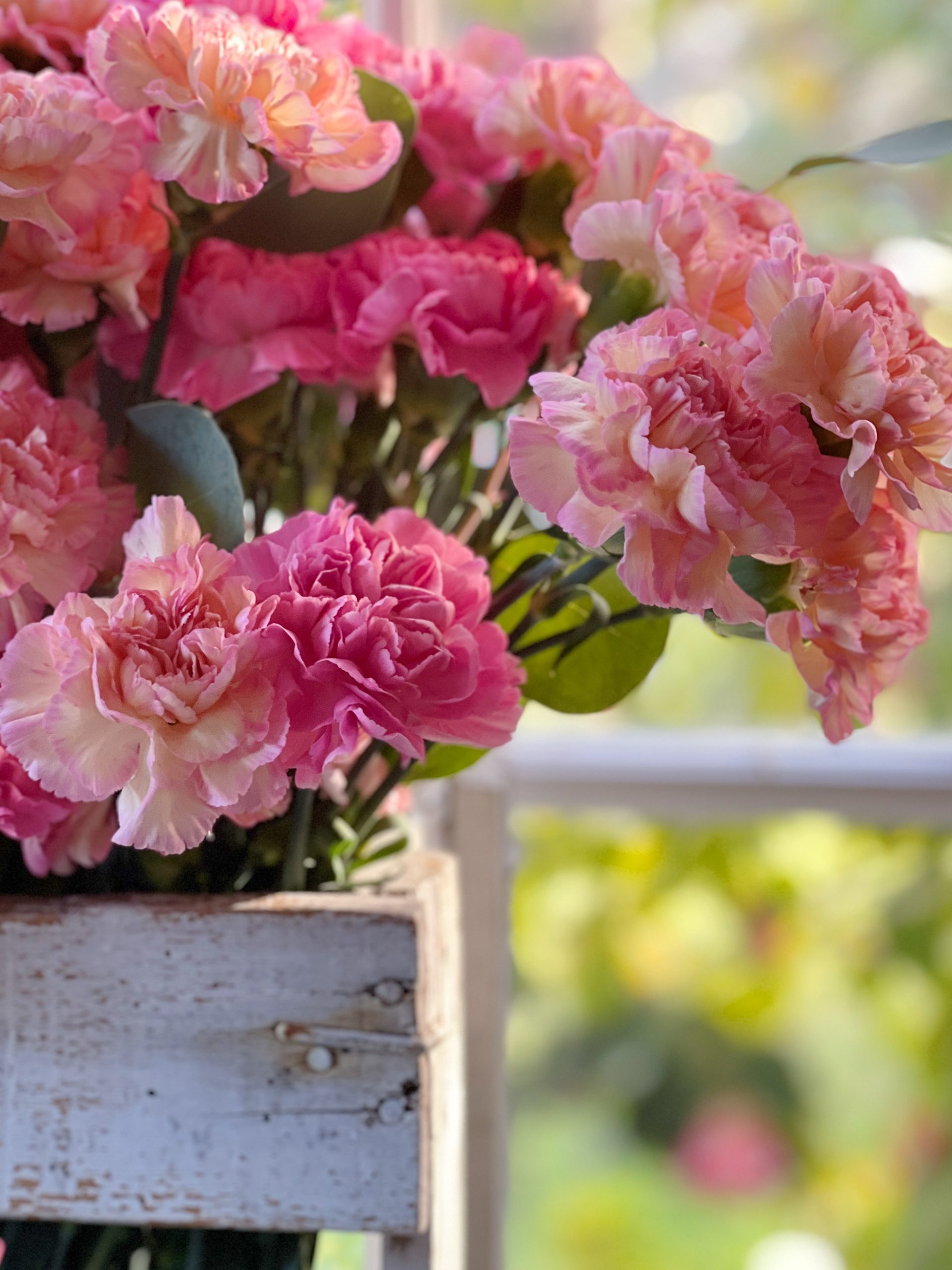 Why Pink Carnations Are One of My Favorite Flowers - MY 100 YEAR OLD HOME
