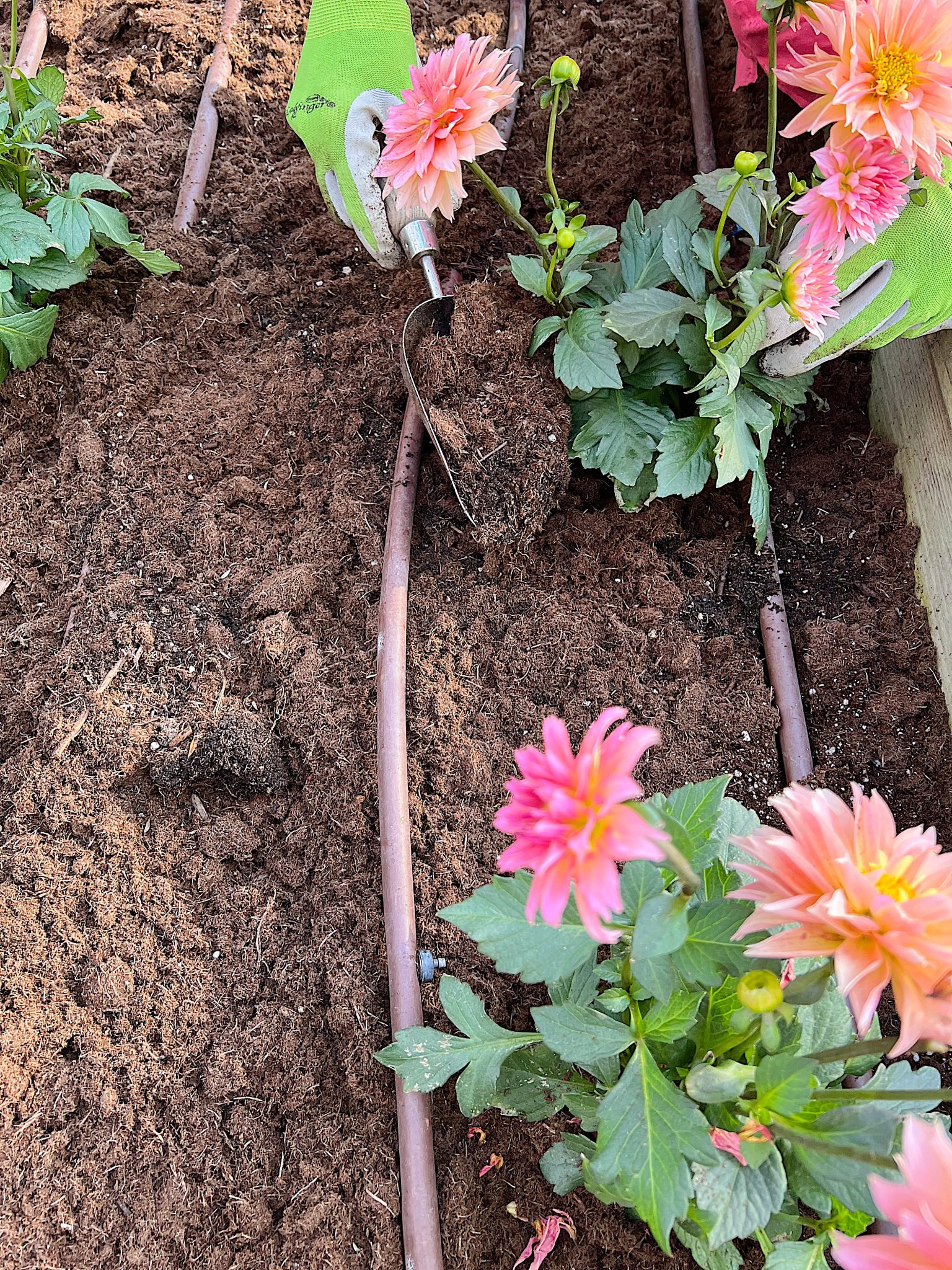 A New Way to Plant a Spring Garden - MY 100 YEAR OLD HOME