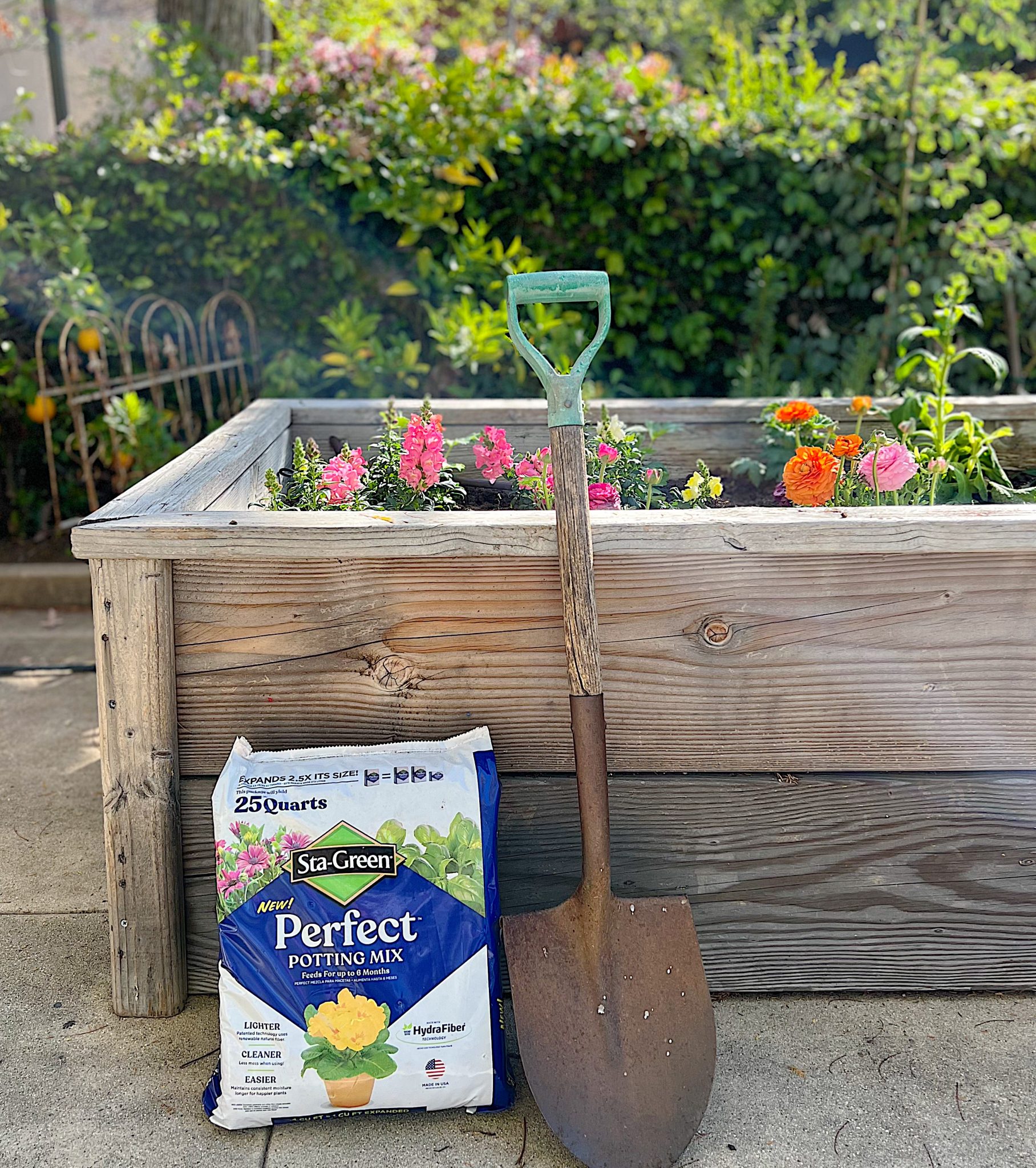 A New Way to Plant a Spring Garden - MY 100 YEAR OLD HOME