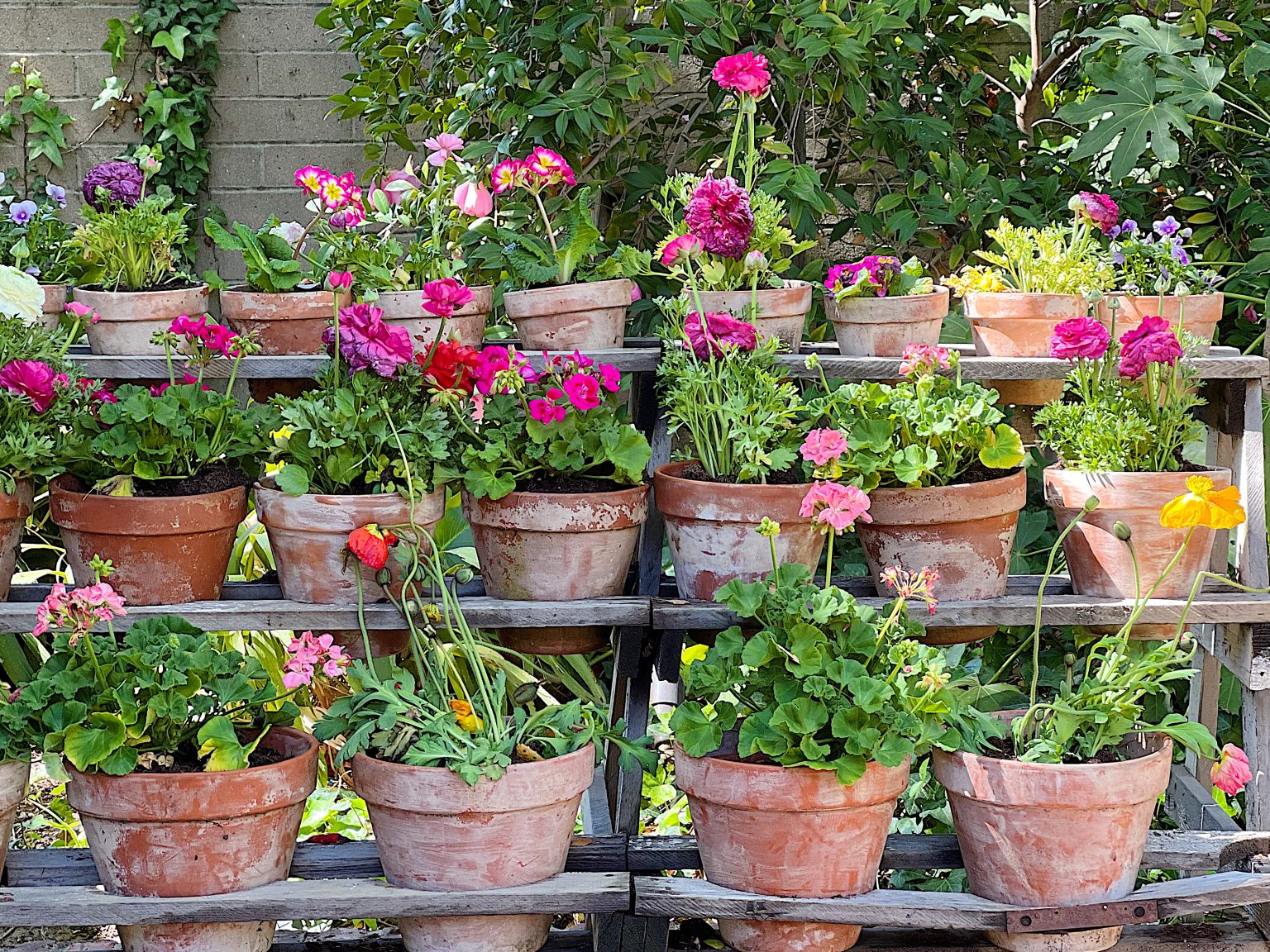 A New Way to Plant a Spring Garden - MY 100 YEAR OLD HOME