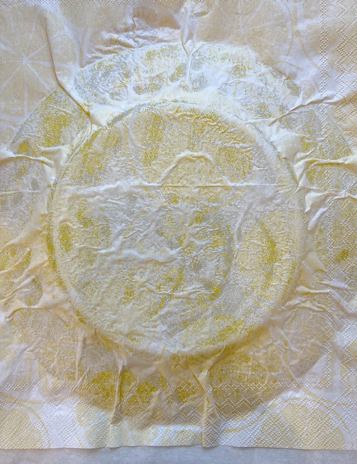 How to Make Your Own Lemon Plates - MY 100 YEAR OLD HOME