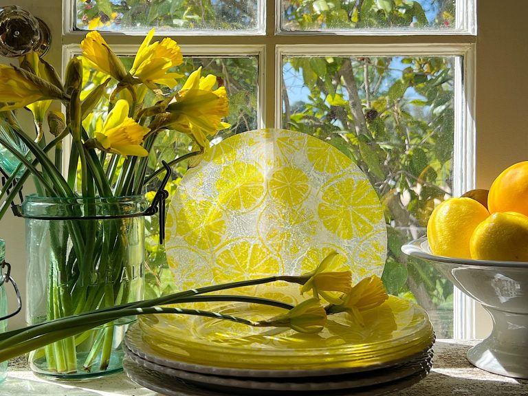 How to Make Your Own Lemon Plates - MY 100 YEAR OLD HOME