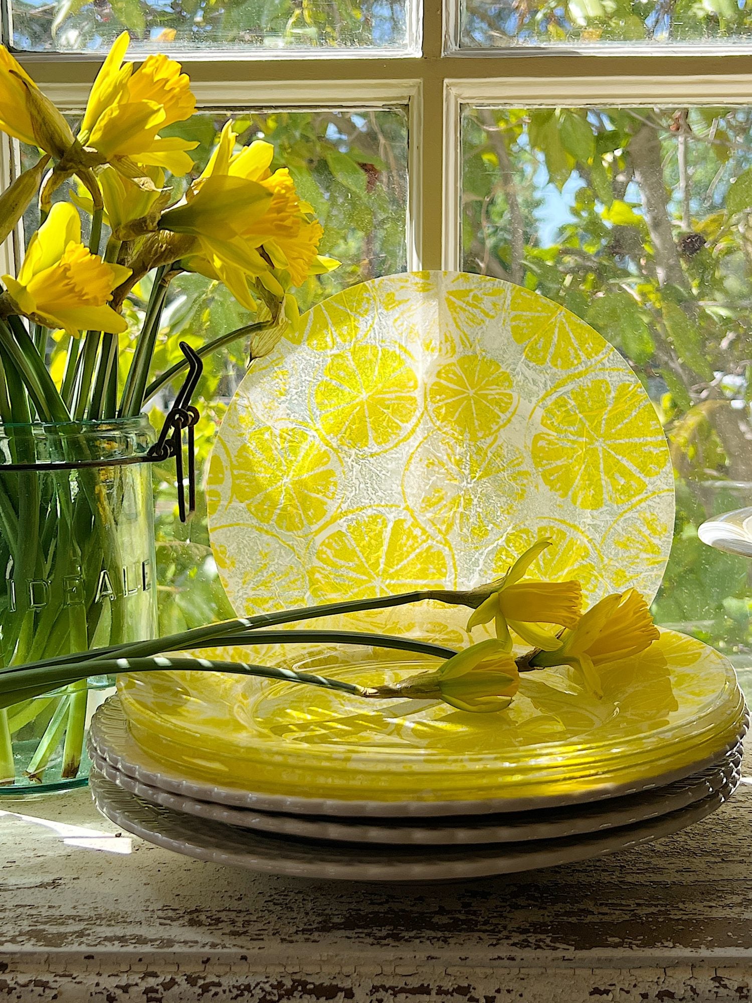 How to Make Your Own Lemon Plates - MY 100 YEAR OLD HOME