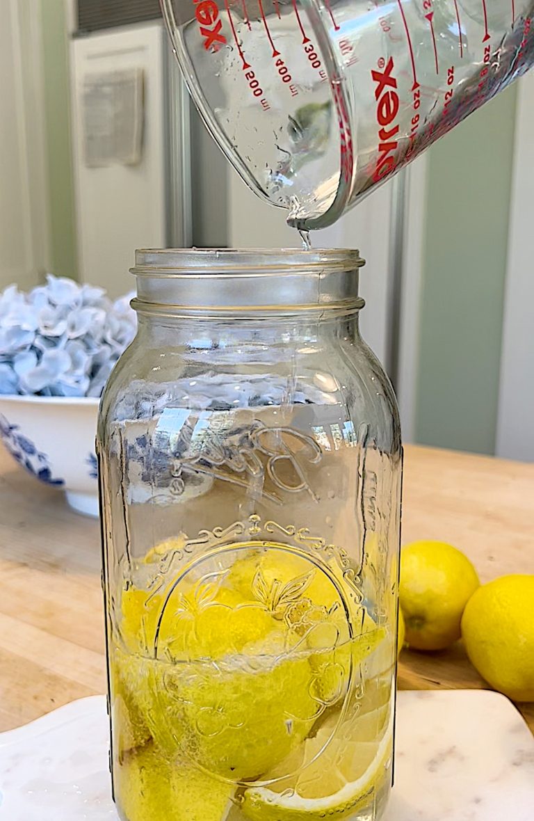 My Favorite Lemon Vodka Drinks - MY 100 YEAR OLD HOME