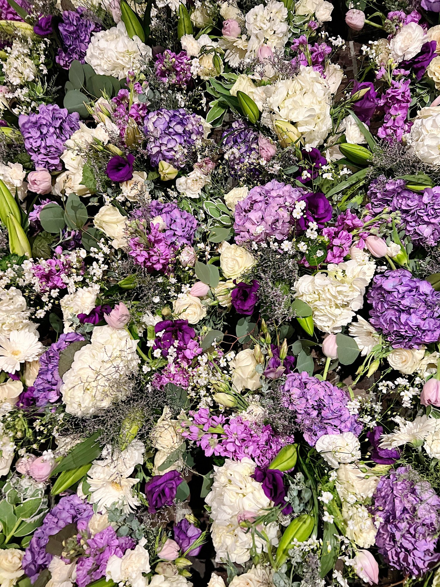 Why Pink Carnations Are One of My Favorite Flowers - MY 100 YEAR OLD HOME