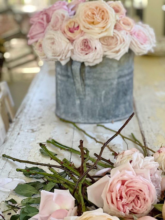 Spoil Yourself With Heirloom Roses - MY 100 YEAR OLD HOME