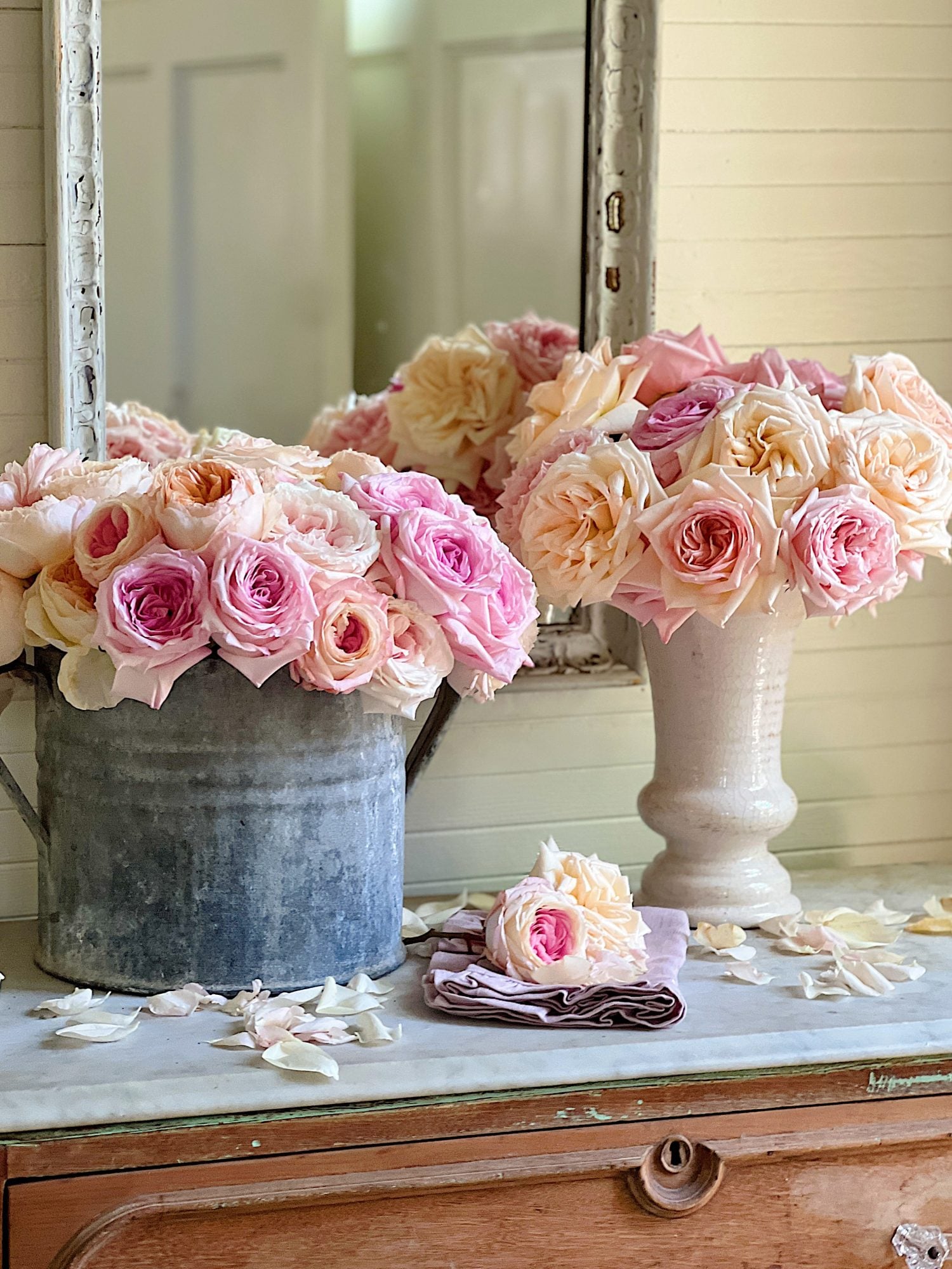Spoil Yourself With Heirloom Roses - MY 100 YEAR OLD HOME