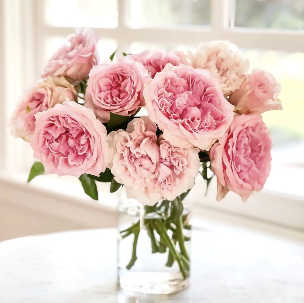 Spoil Yourself With Heirloom Roses - MY 100 YEAR OLD HOME