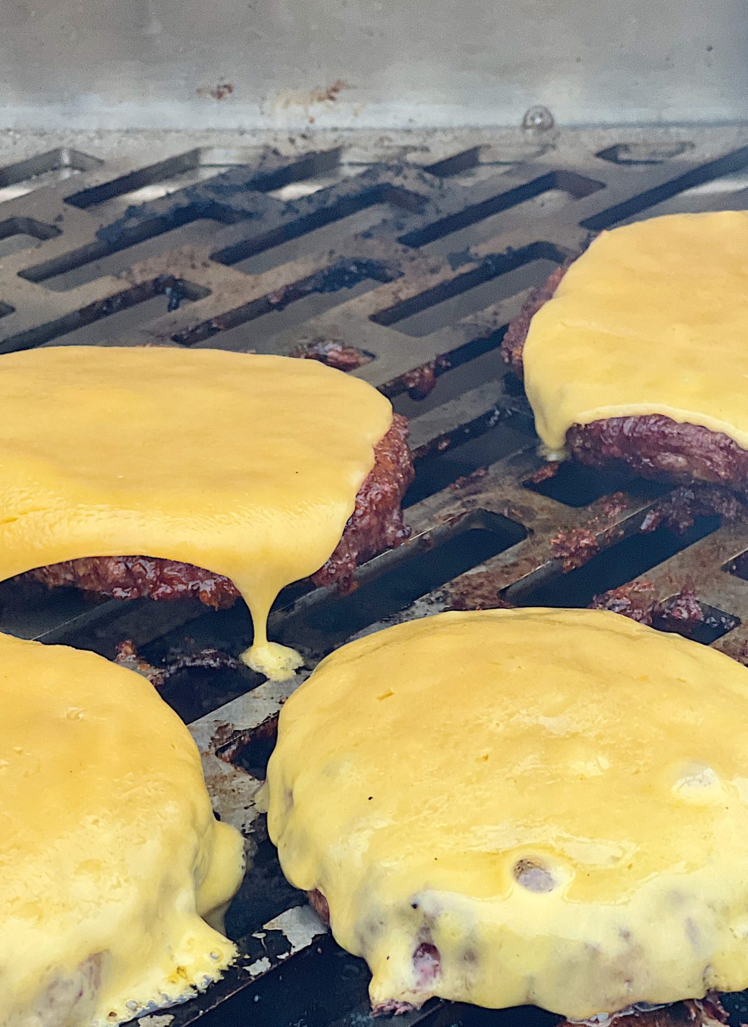 The Coyote Pellet Grill and Best Pellet Grill Recipes - MY 100 YEAR OLD ...