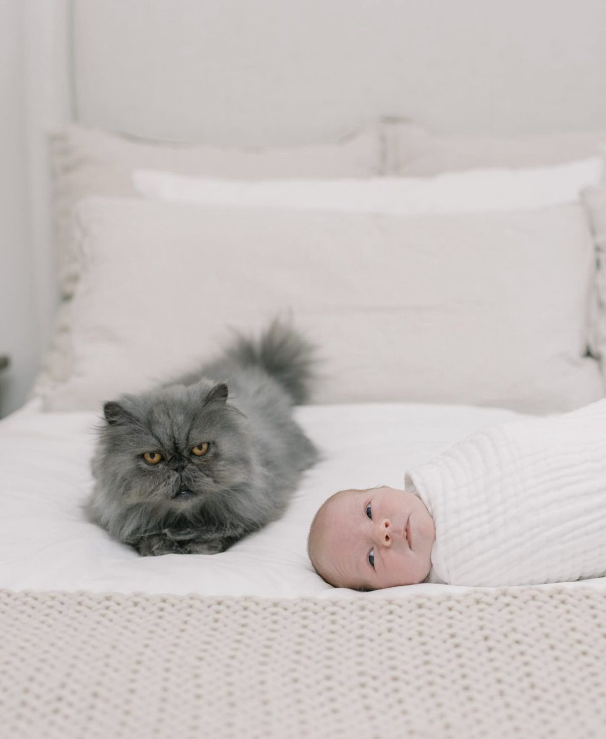 Summer Decor Finds and Sunday Morning Coffee - MY 100 YEAR OLD HOME