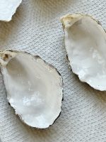 Oyster Shell Art Craft - MY 100 YEAR OLD HOME
