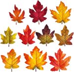 Fall Table Decor Ideas for Your Dining Room - MY 100 YEAR OLD HOME